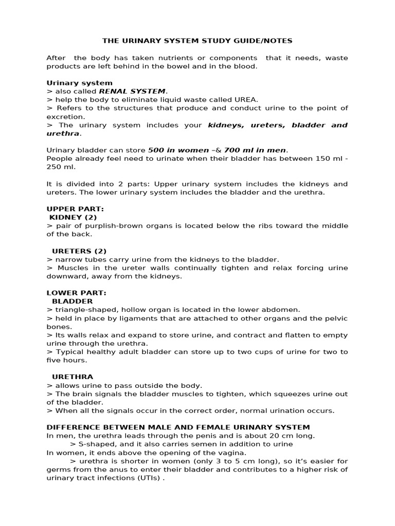 Study Note Urinary System | PDF | Kidney | Urinary System