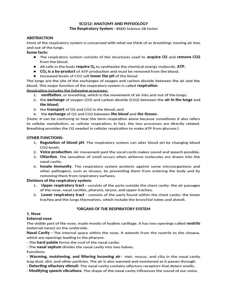 Respiratory-System-Study-Guide | PDF | Lung | Respiratory Tract