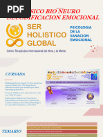 Esquema del Yo Integral BioPsicoSocial | PDF | Amor | Psique (psicología)