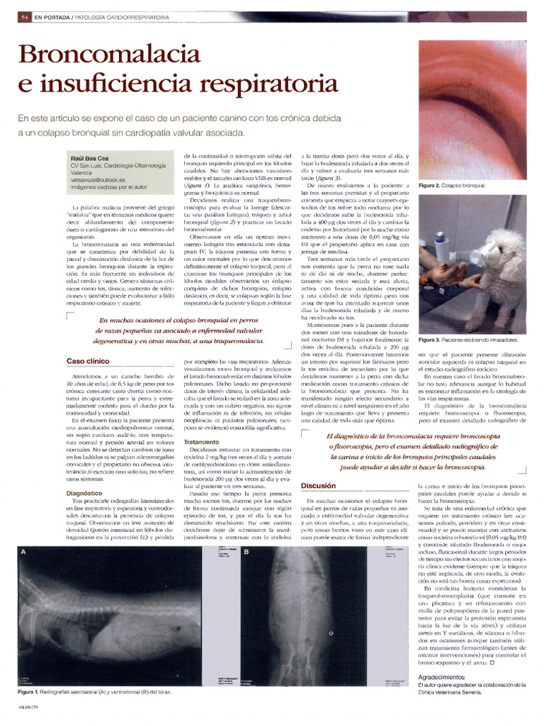 Bas Cea 2016 Bronchomalacia and Respiratory Failure | PDF