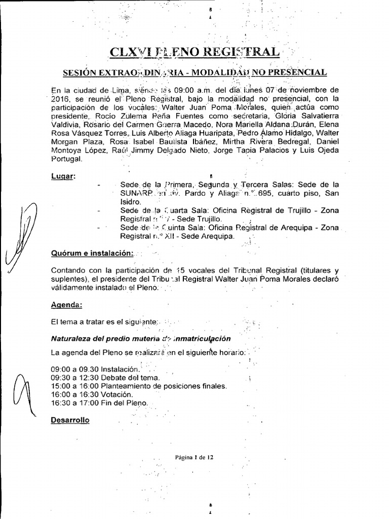 CLXVI-PLENO-TR-SUNARP | PDF