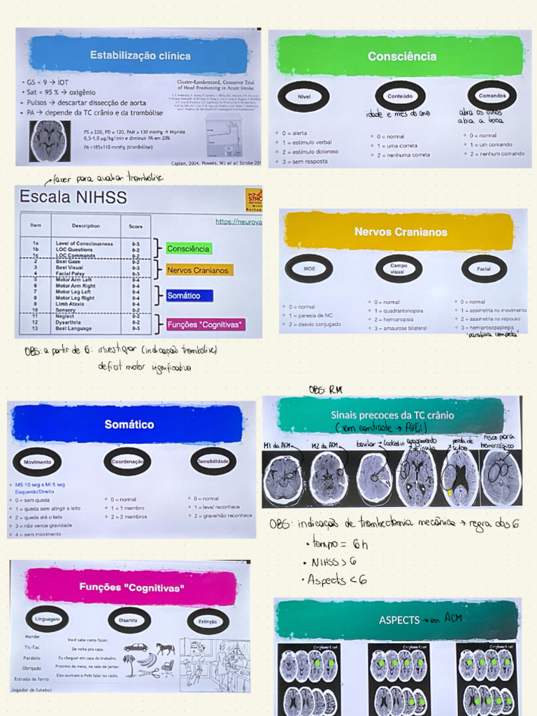 NIHSS Scale Overview and Applications | PDF