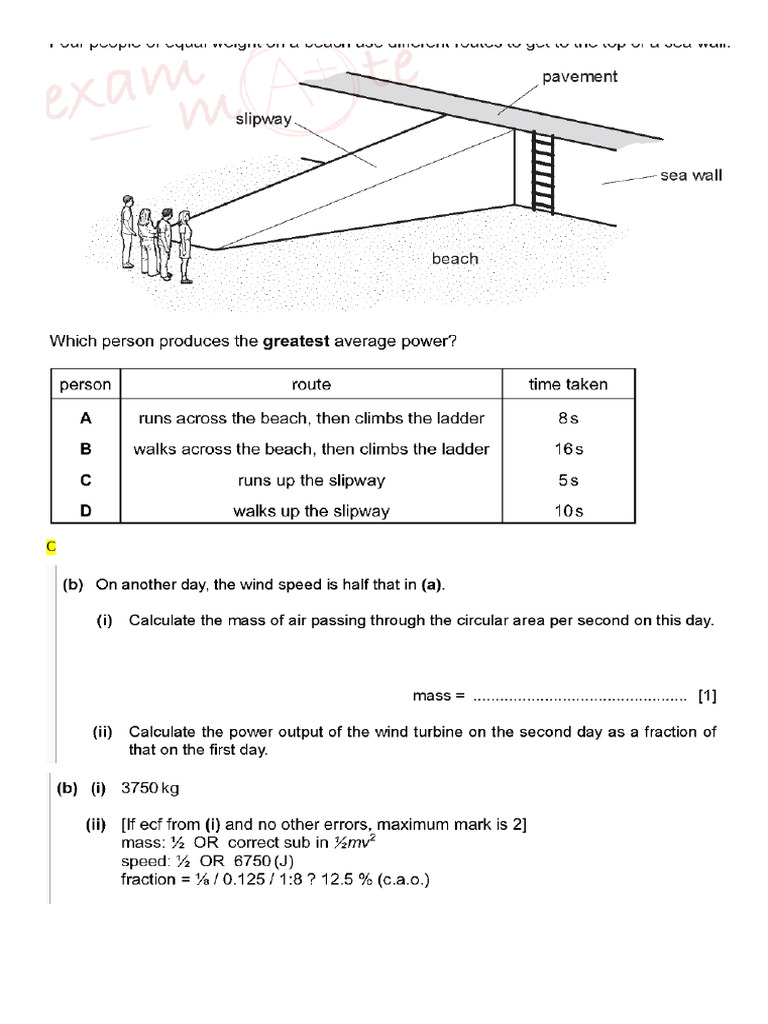 Term 3 Exam Sheet | PDF