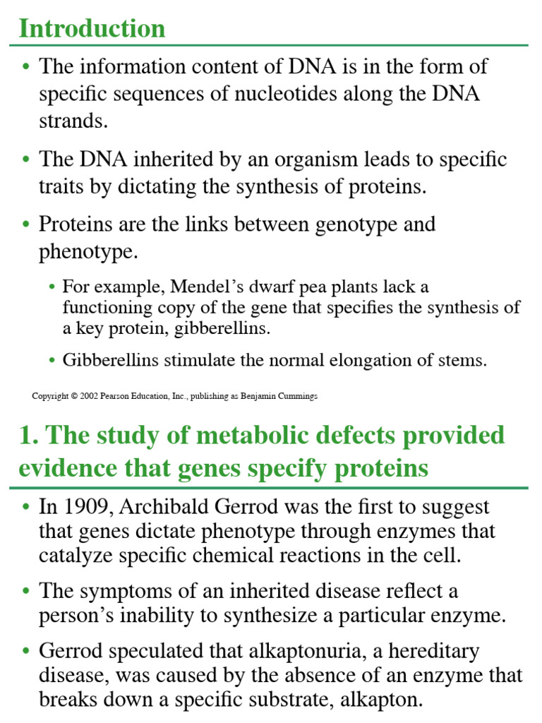 CH 17 - Genes and Proteins | PDF | Translation (Biology) | Rna