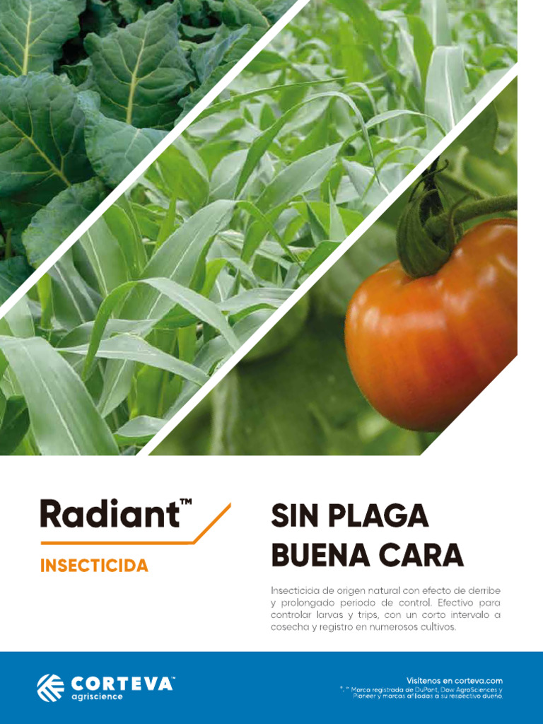 ECU Radiant HV Digital | PDF