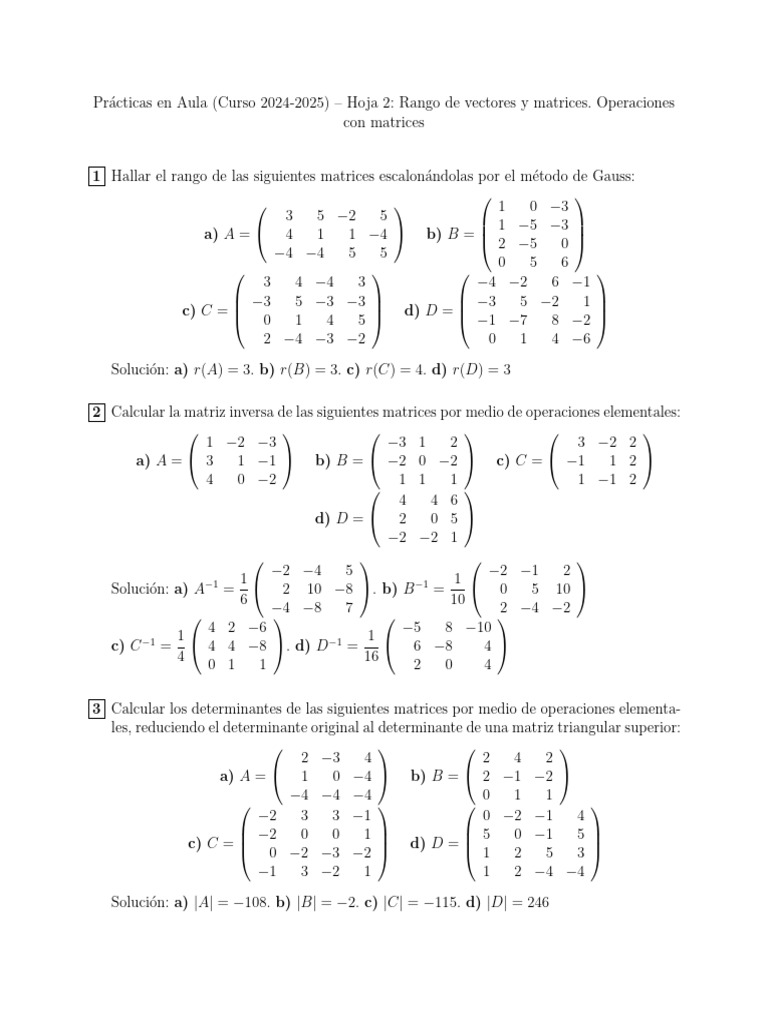 Practicas Aula-Hoja2-Rango Vectores Matrices-Operaciones Matrices | PDF | Determinante | Matriz ...