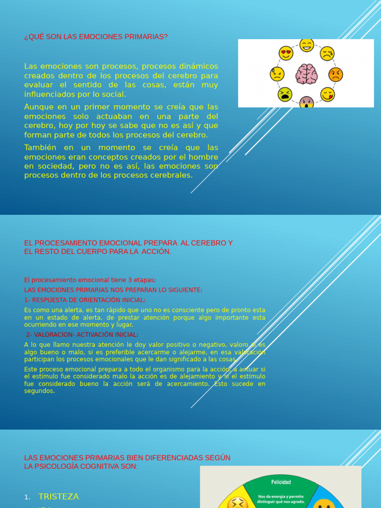 Power Point Emociones Pdf Las Emociones Estrés Biología