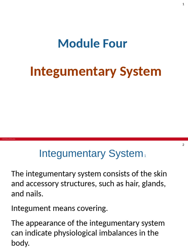 Chapter-5-The-Integumentary-System 2 | PDF | Integumentary System | Skin
