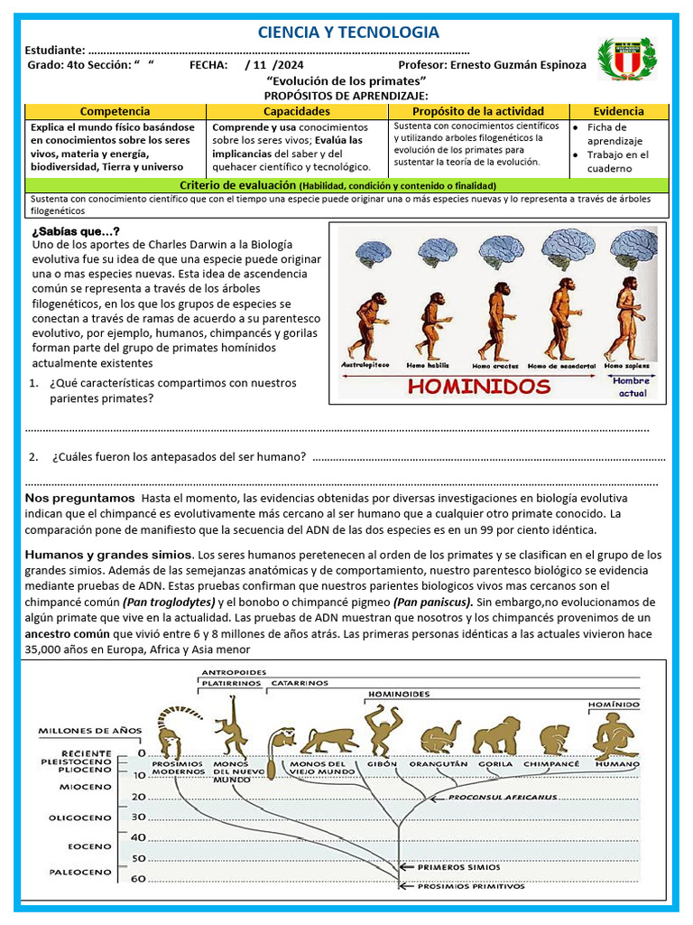 Evolución de los Primates y Humanos | PDF | Chimpancé | Evolución