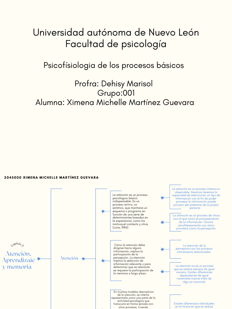 RL4 Atención | PDF | Memoria | Aprendizaje
