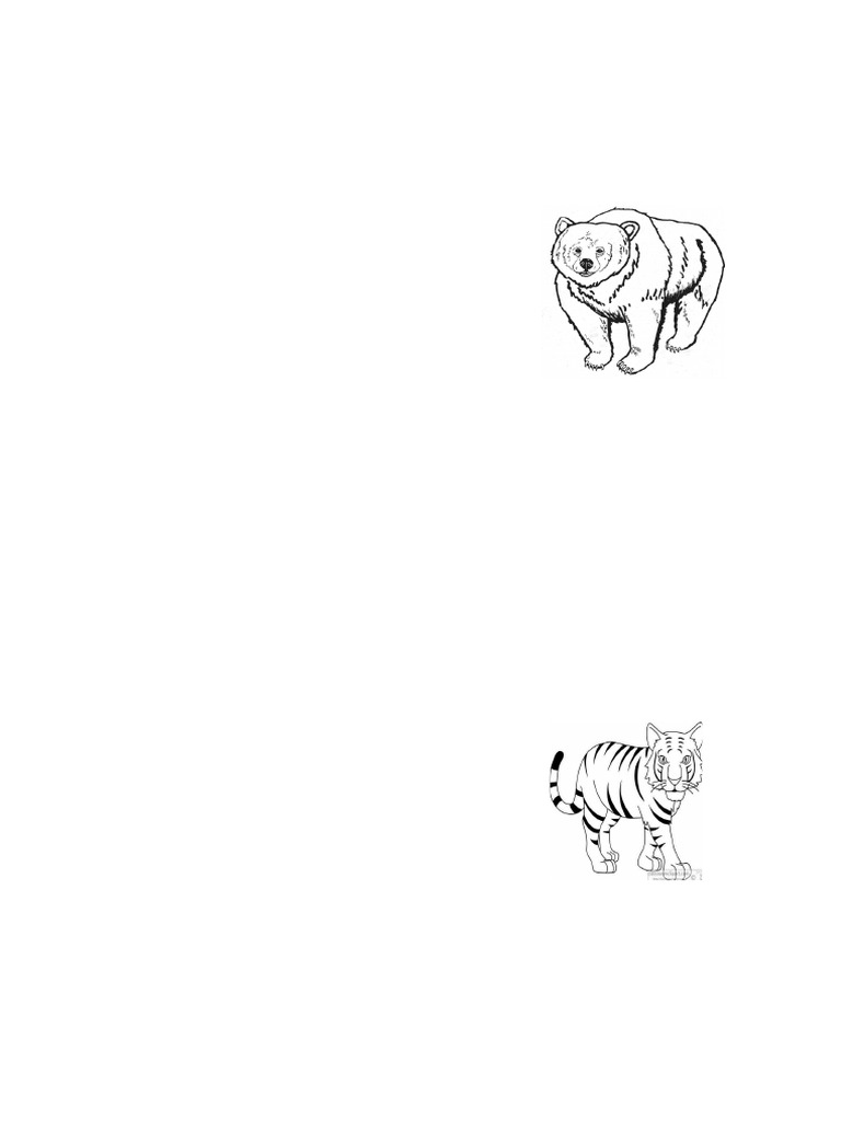 Zoo Animals Transition Week 11-3 | PDF