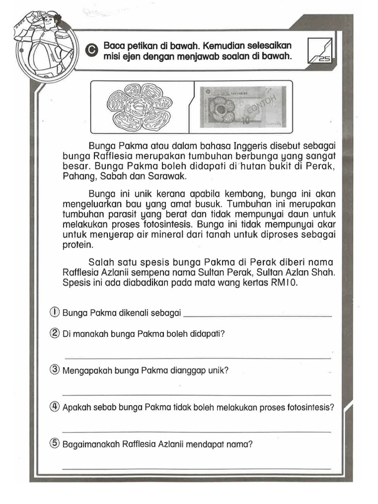 Bunga Pakma Rafflesia | PDF