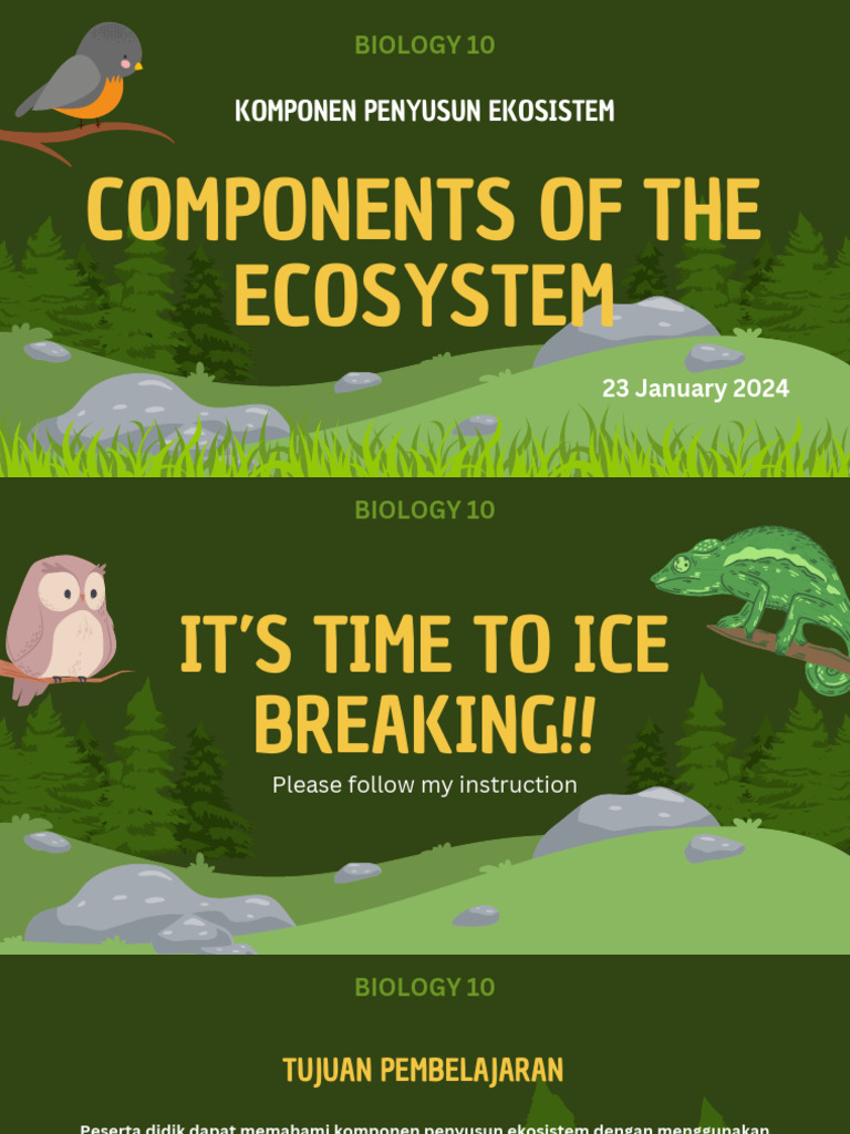 Green Colorful Illustration Guess The Animal Game Presentation | PDF