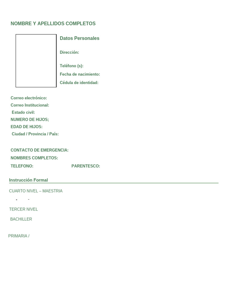 Formato Curriculo 2024 | PDF