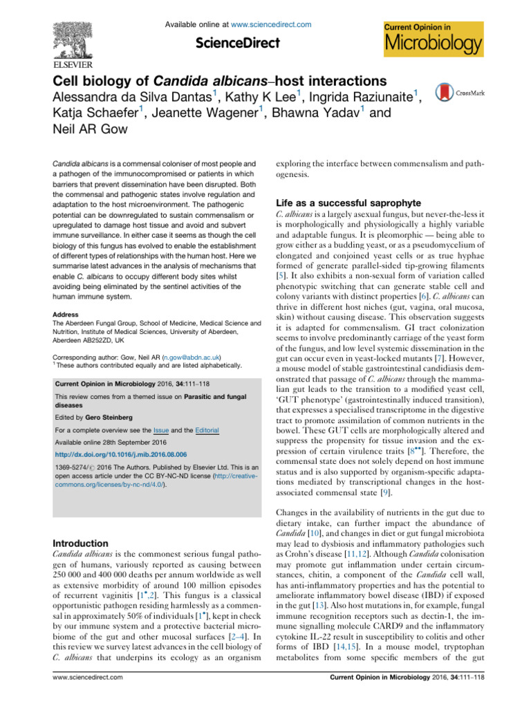 cell biology candida | PDF | Immune System | Macrophage