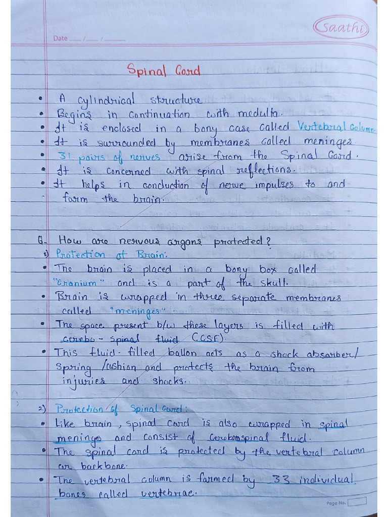 Hormone and Control and Coordination in Plant S | PDF