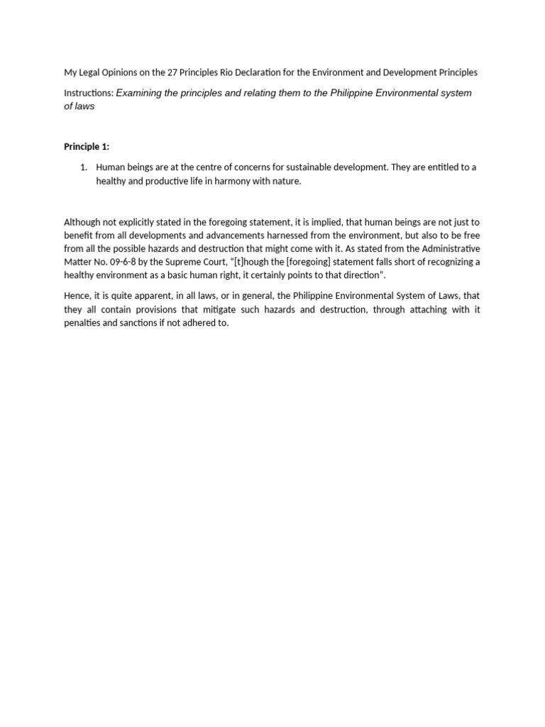 Legal Insights on Rio Declaration Principles | PDF