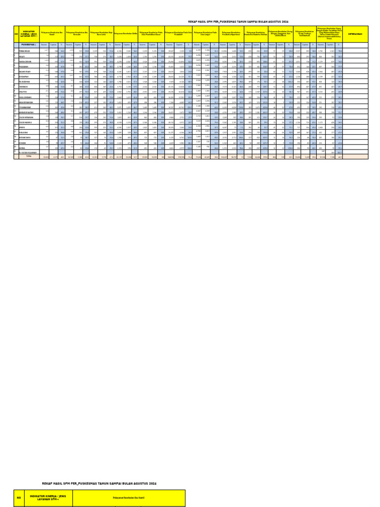 Rekap Hasil SPM Puskesmas Agustus 2024 | PDF