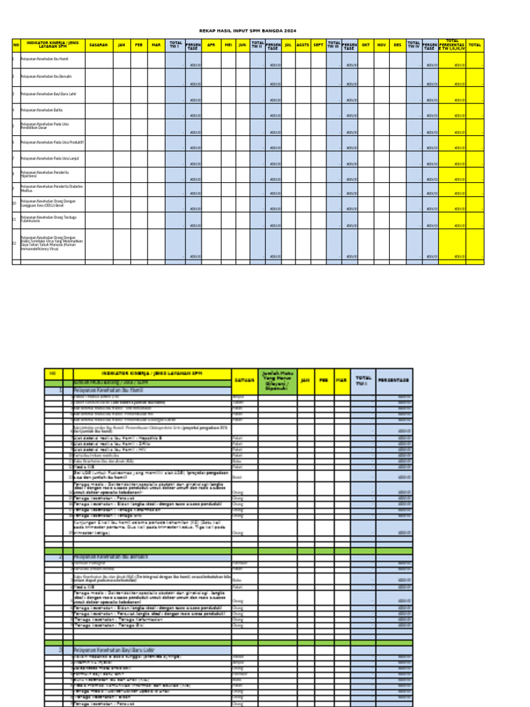 Rekap Hasil Input SPM Bangda 2024 | PDF