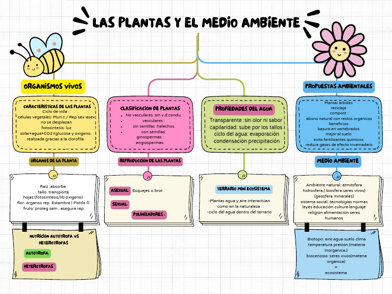 Gráfica Mapa Conceptual Simple Colorido - 20241129 - 123936 - 0000 | PDF | Plantas | Agua
