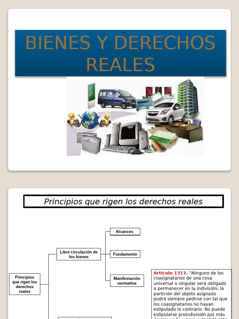 Bienes y Derecho Reales 2024 1-1 | PDF | Propiedad | Ley de Propiedad
