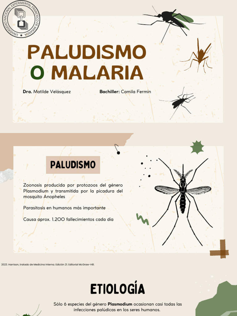 Paludismo | PDF | Malaria | Plasmodium