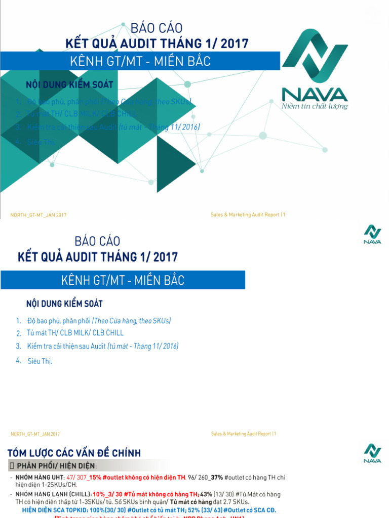 Audit NAVA | PDF