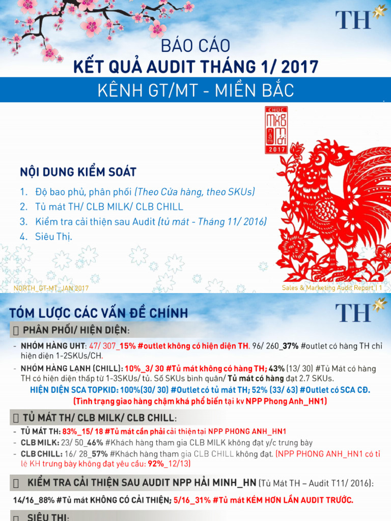 Report Audit (Convert To NAVA) | PDF