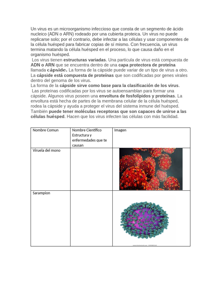 Virus Trabajo Final | PDF