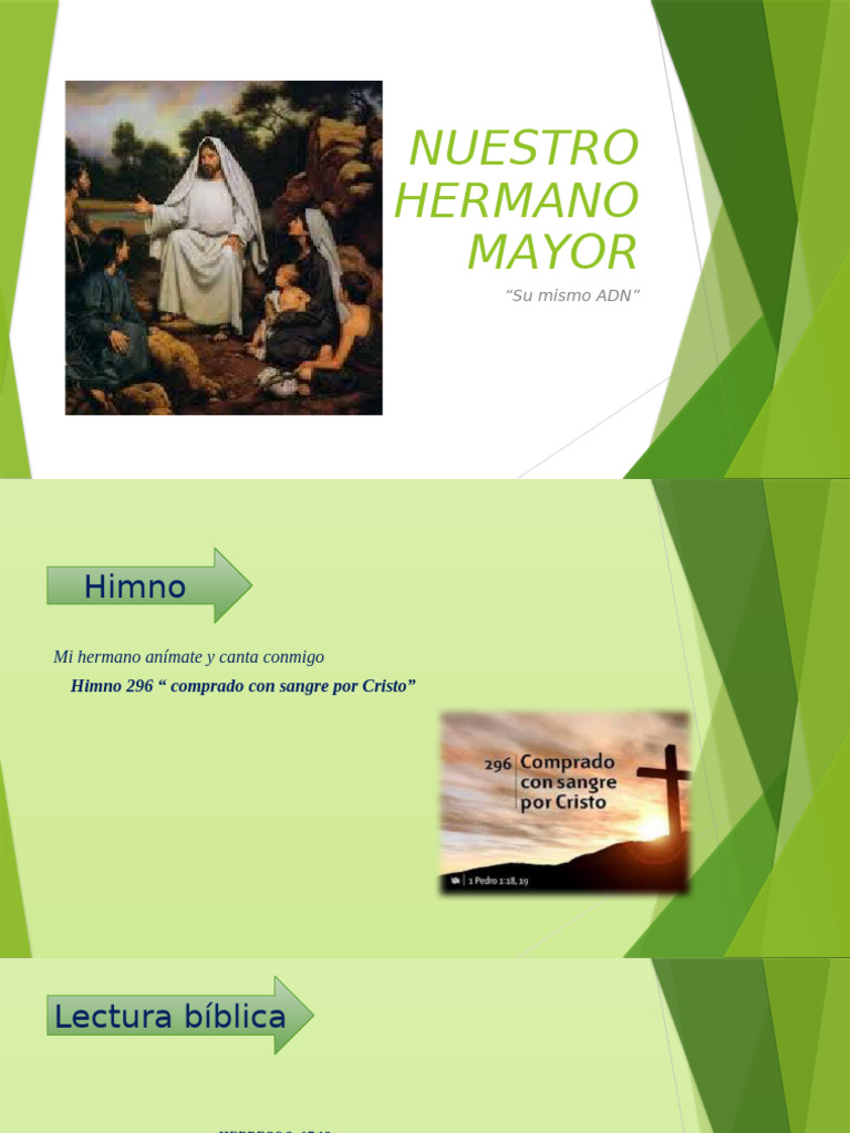 Nueestro Hermano Mayor | PDF