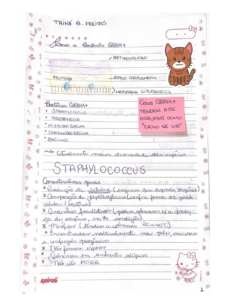 1 Cocos e Bastonetes Gram+ | PDF