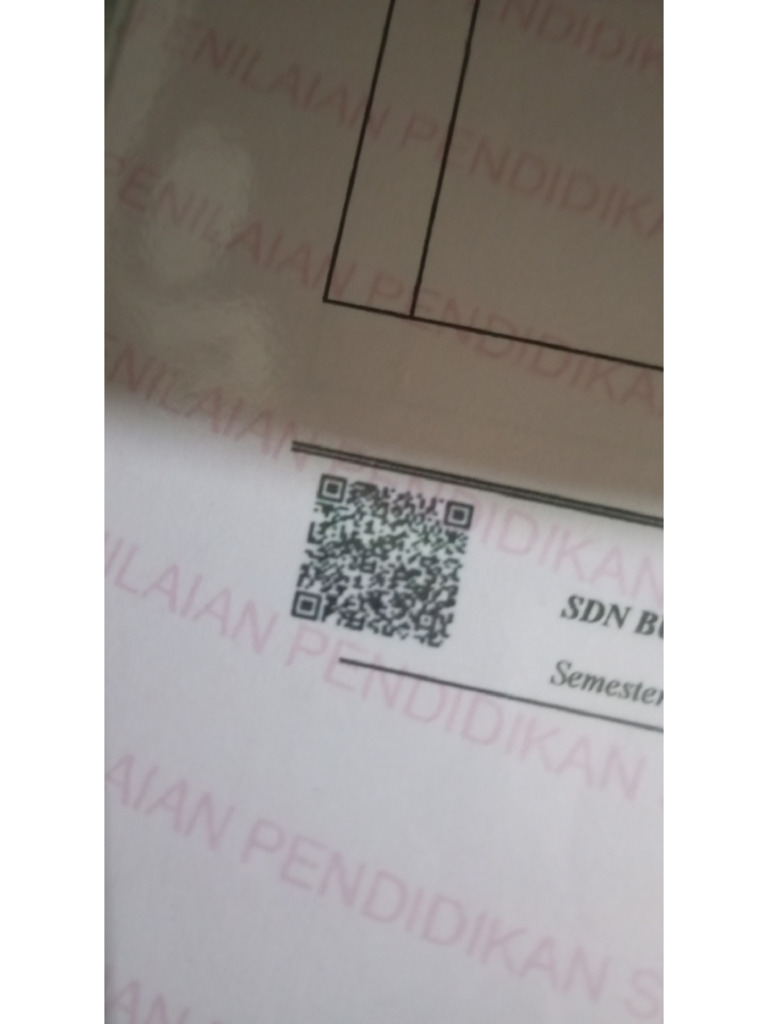 Barcode | PDF