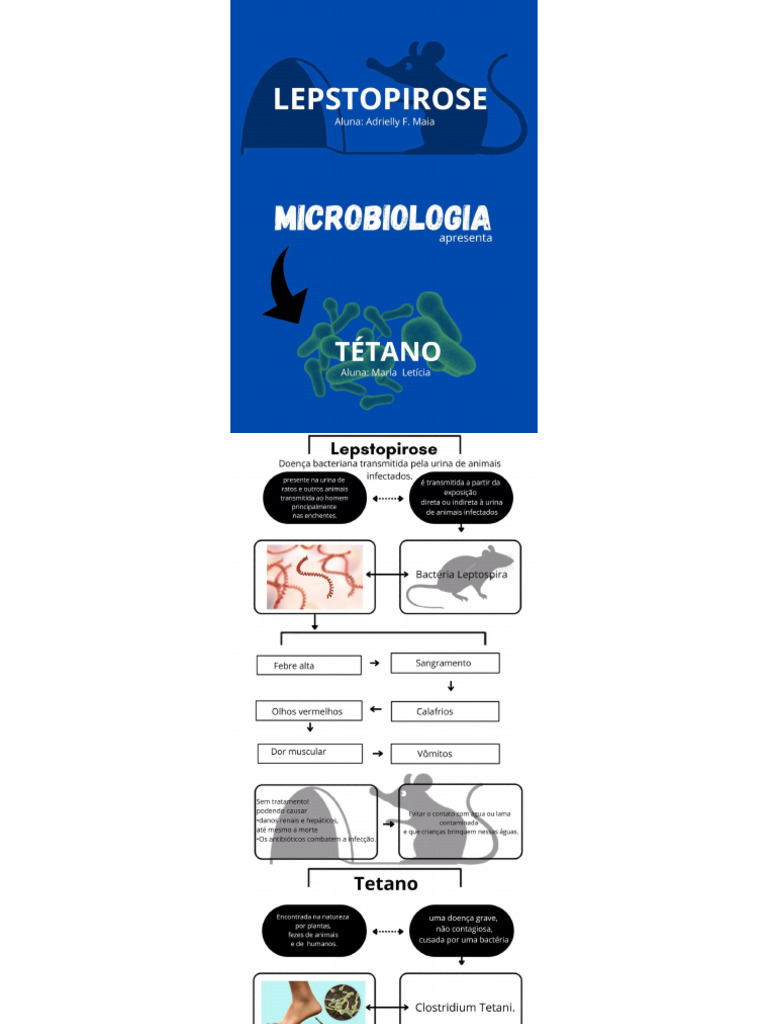 Leptospirose e Tetano | PDF