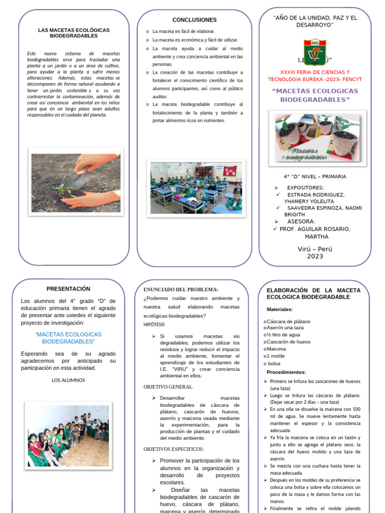 Triptico Final | PDF | Entorno natural