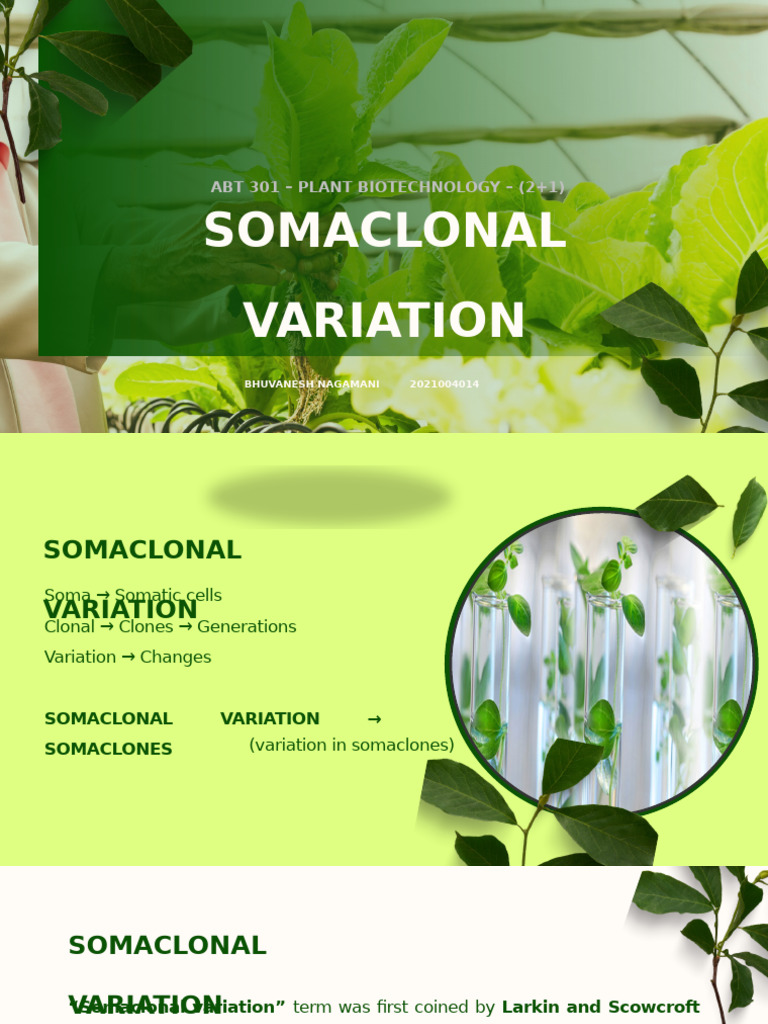 ABT 301 - Somaclonal Variation in PB | PDF | Genetics | Mutation