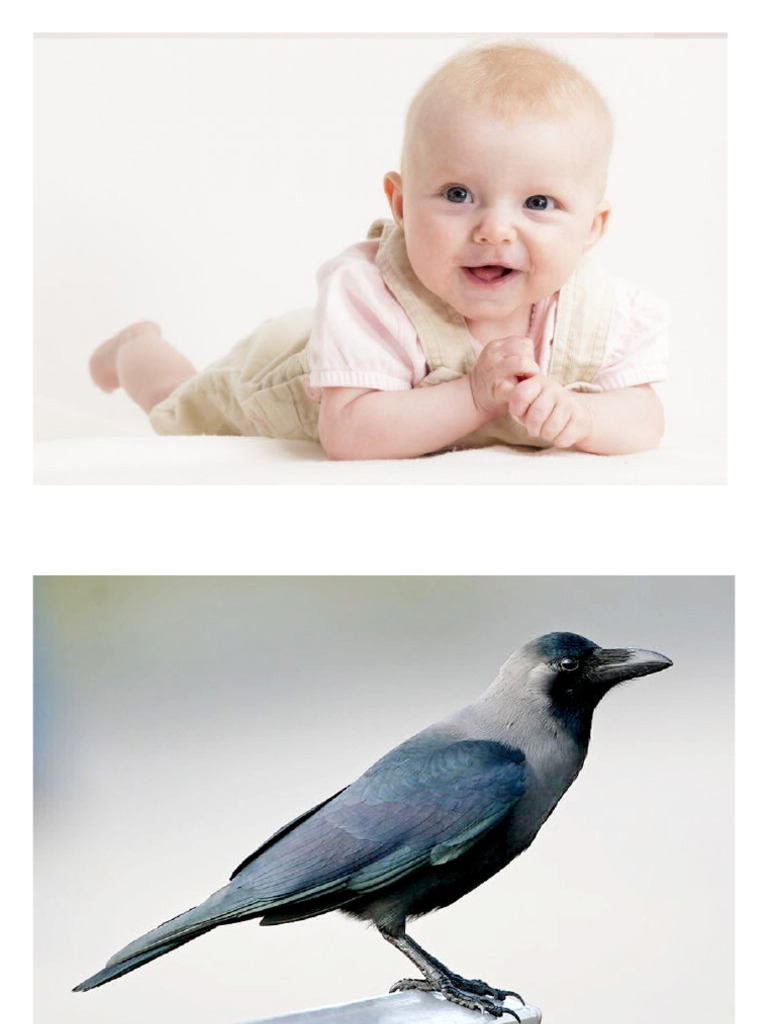 New DOCX Document | PDF