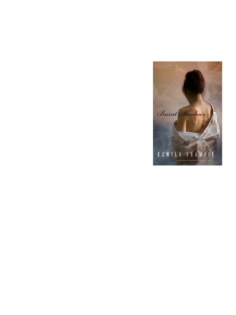 Overview of Burnt Shadow | PDF