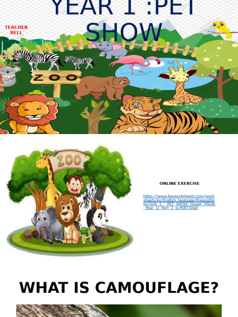 Year 1 Pet Show | PDF