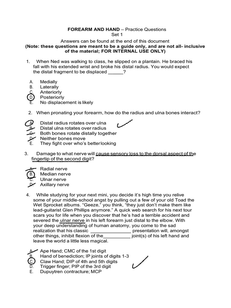 Anatomy Exam Prep: Forearm & Hand | PDF | Thumb | Hand