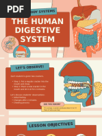 Digestive System GIZMO | PDF | Digestion | Small Intestine