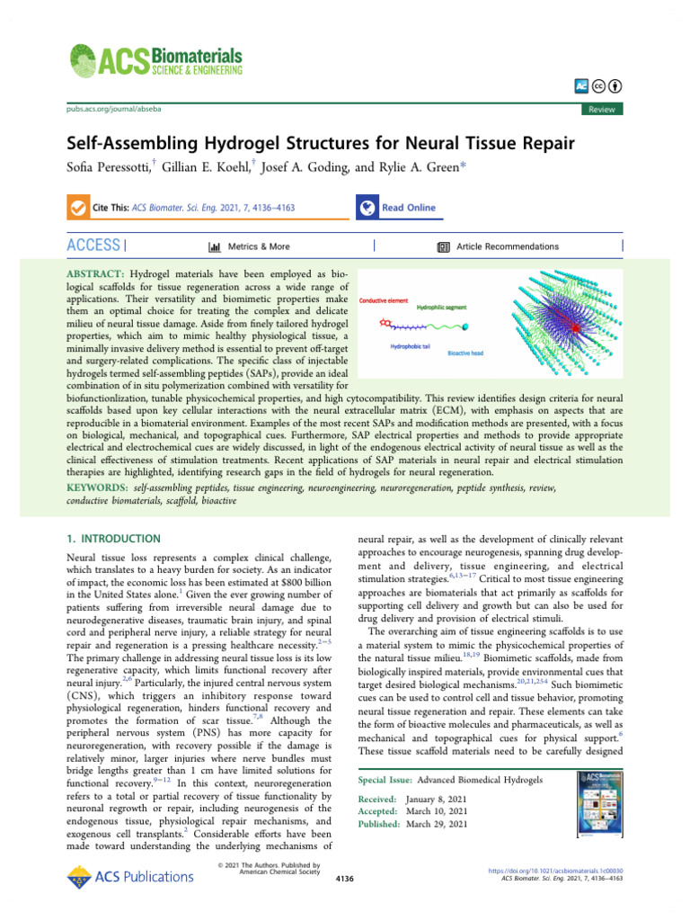 Self-Assembling Hydrogel Structures For Neural Tissue Repair | PDF | Nervous System | Tissue ...