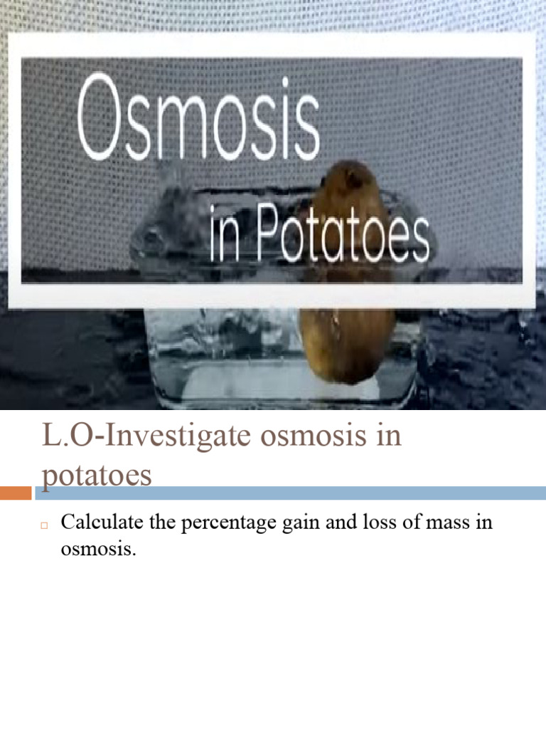 Osmosis Experiment with Potatoes | PDF