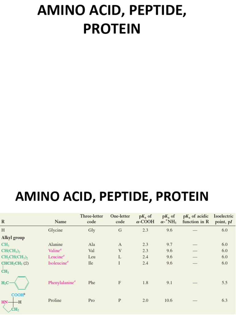 Aminoacid Peptide Protein | PDF | Amino Acid | Amine