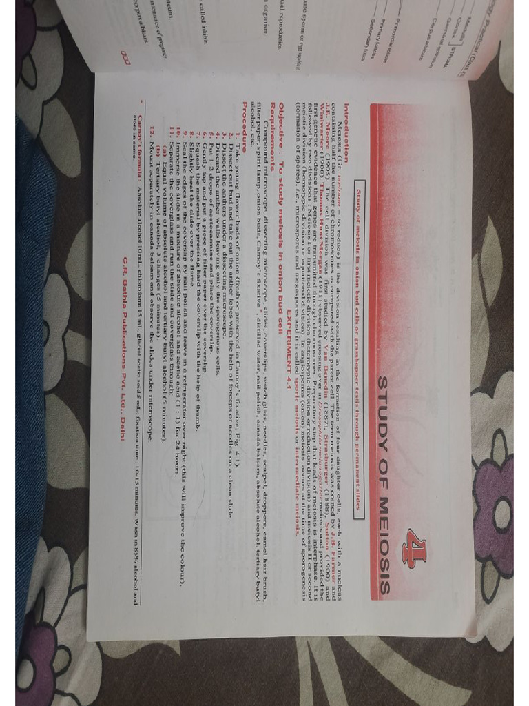 Study of Meosis Classs 12 Ncert | PDF