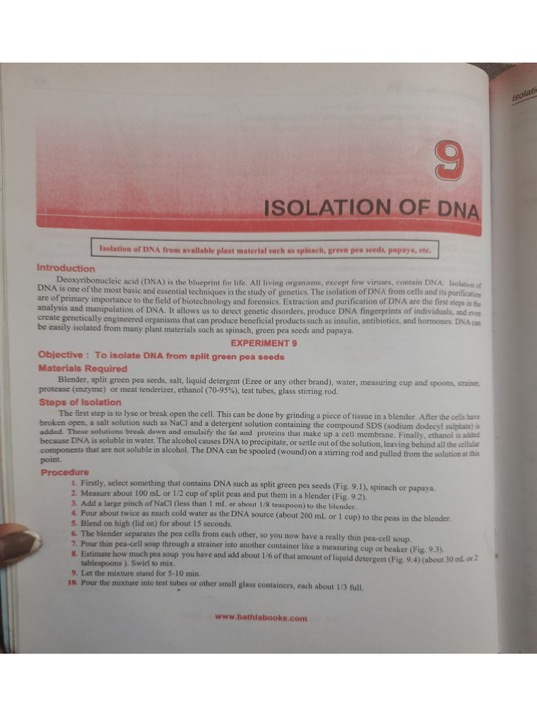 DNA Isolation | PDF