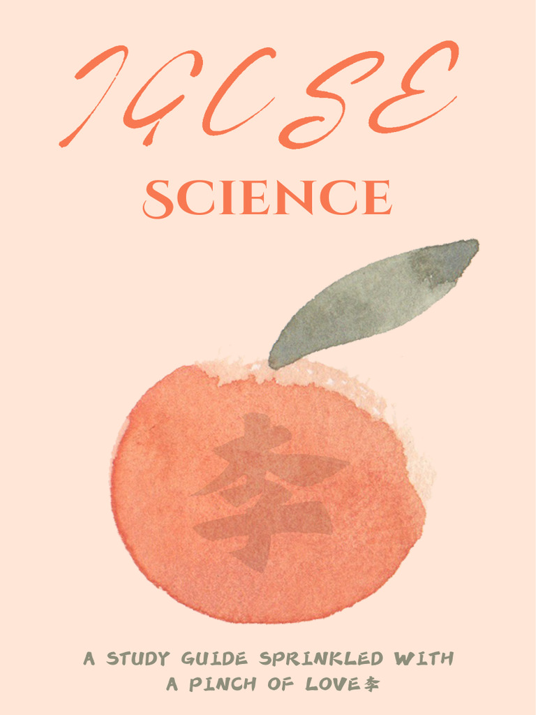 A EXAM REVISION BOOKLET By Love李 | PDF