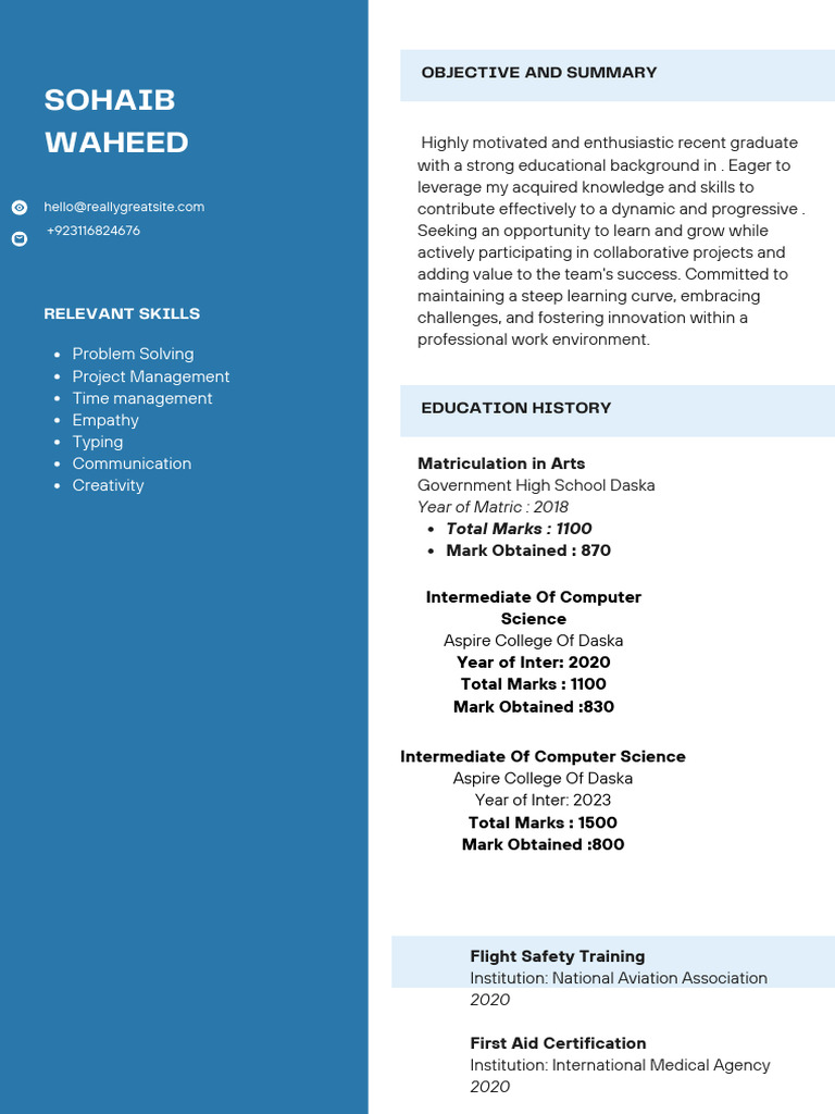 Blue Light Blue Color Blocks Flight Attendant CV | PDF