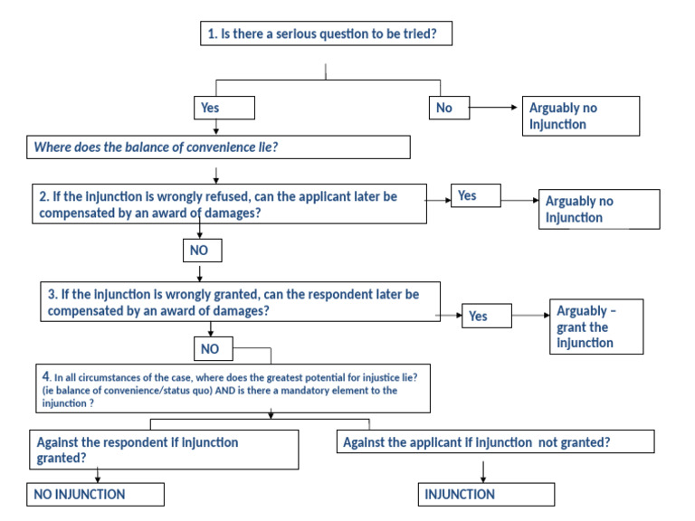 SGS 2 Injunction Flow Chart 24-25 | PDF