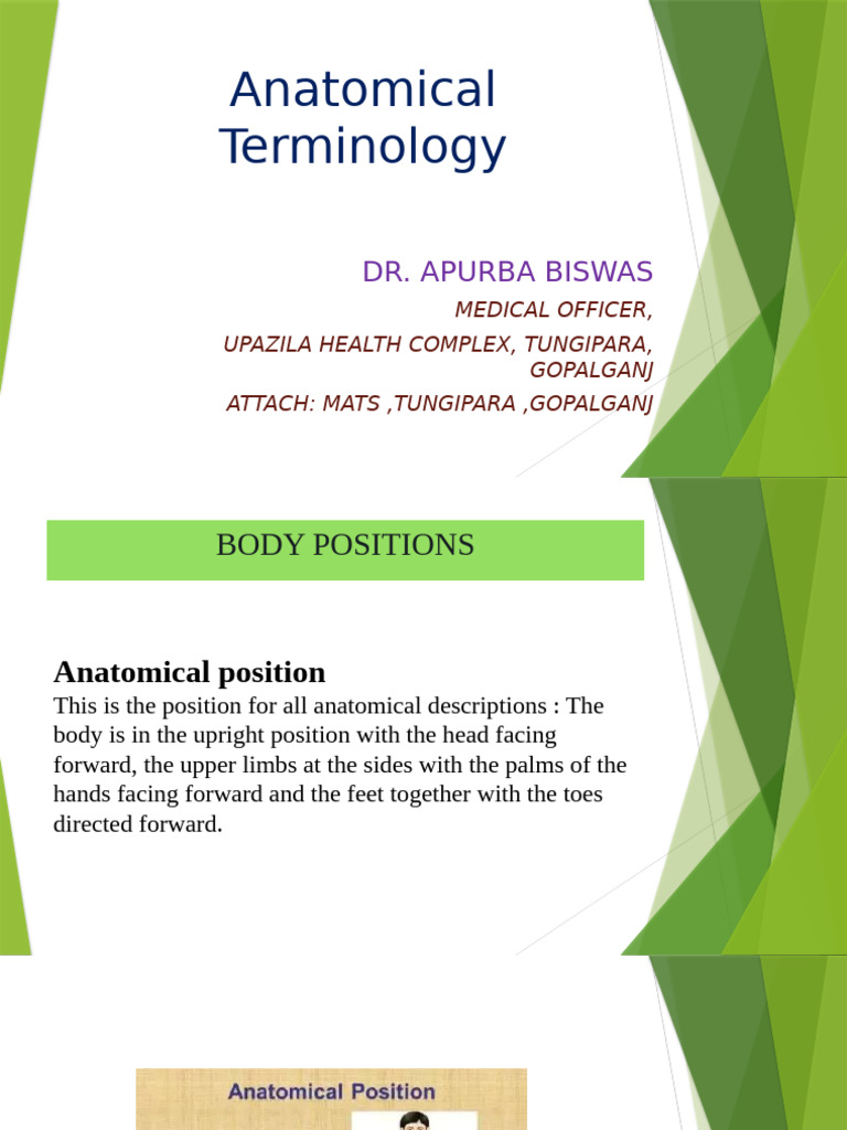 Anatomical Terminology and Body Positions | PDF | Anatomical Terms Of ...