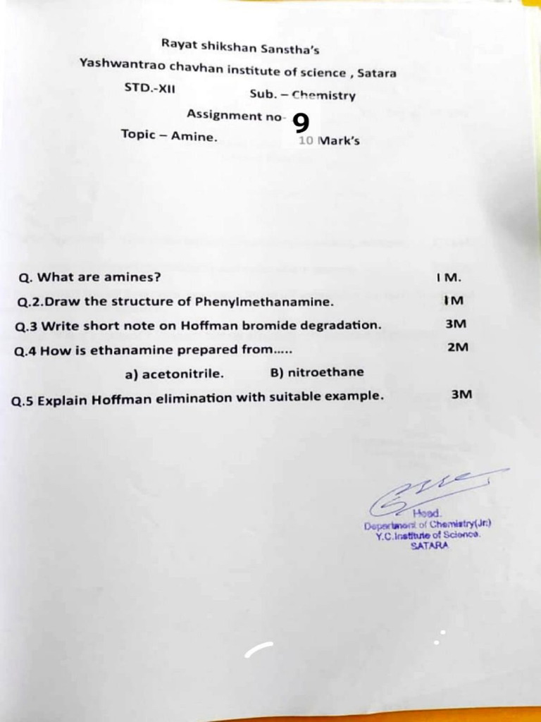 XII Assignment No.9 | PDF